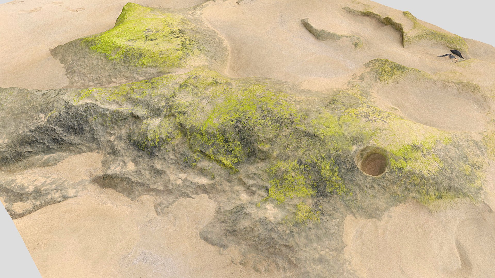Ocean cliff scan 8k 014 - Buy Royalty Free 3D model by immerge [d061344 ...
