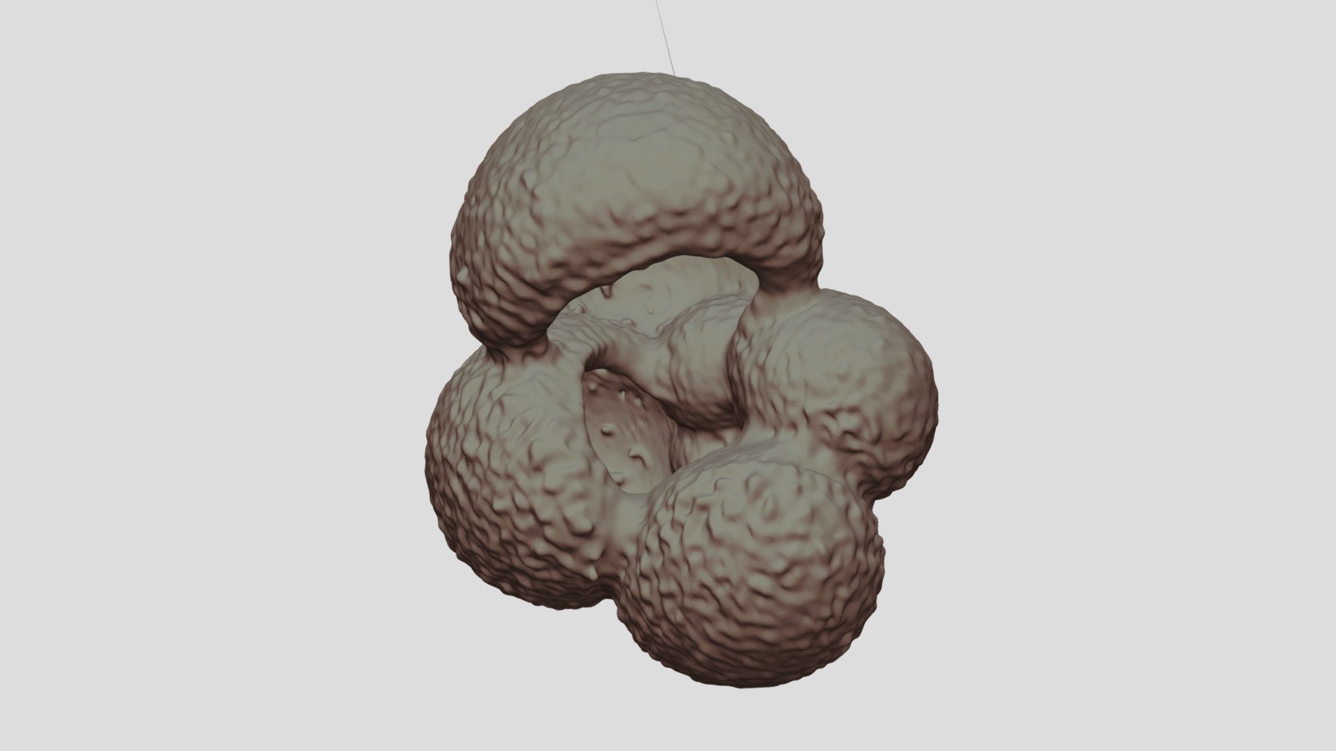 Globigerina bulloides [Geo B8502 785cm Shell-1] - Download Free 3D ...