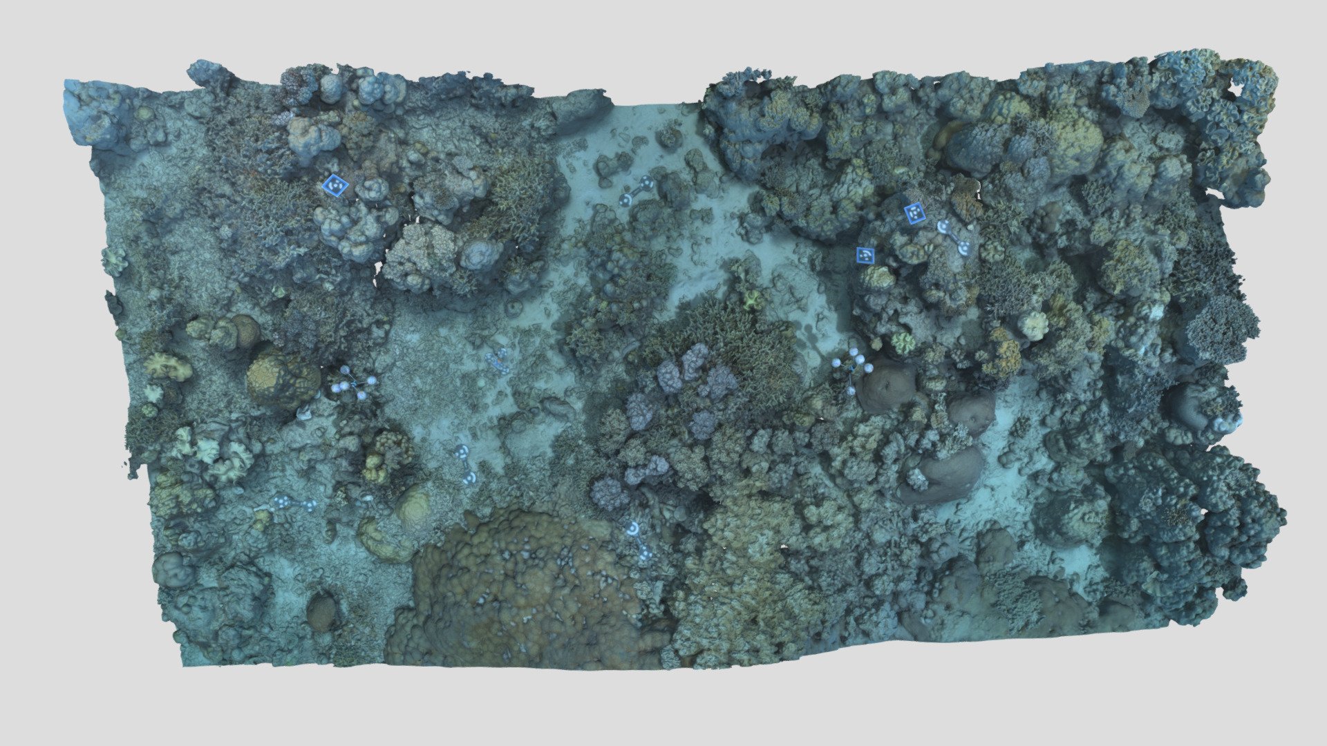 Masig_FL1S_P4_202203 - Download Free 3D model by EcoRRAP (@AIMSEcoRRAP ...
