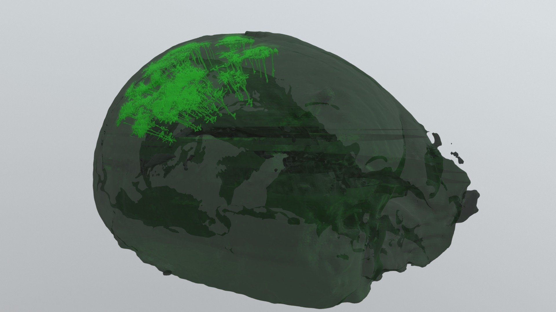 Mouse Brain Arborization - 3D model by DRVISION (@Aivia) [d06393a ...