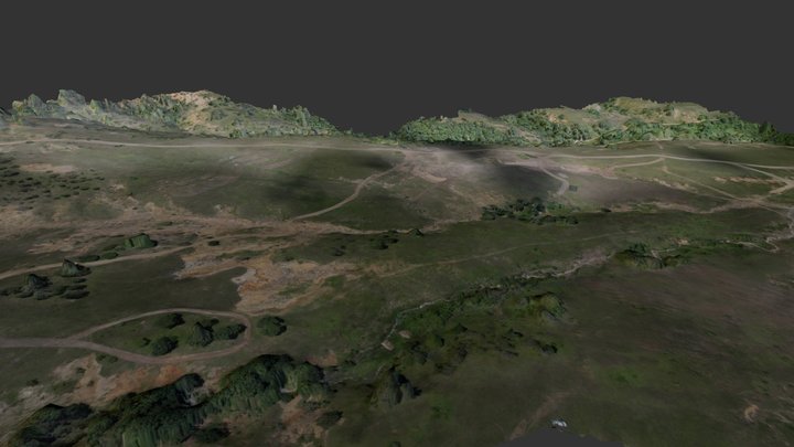Poki 3D models - Sketchfab