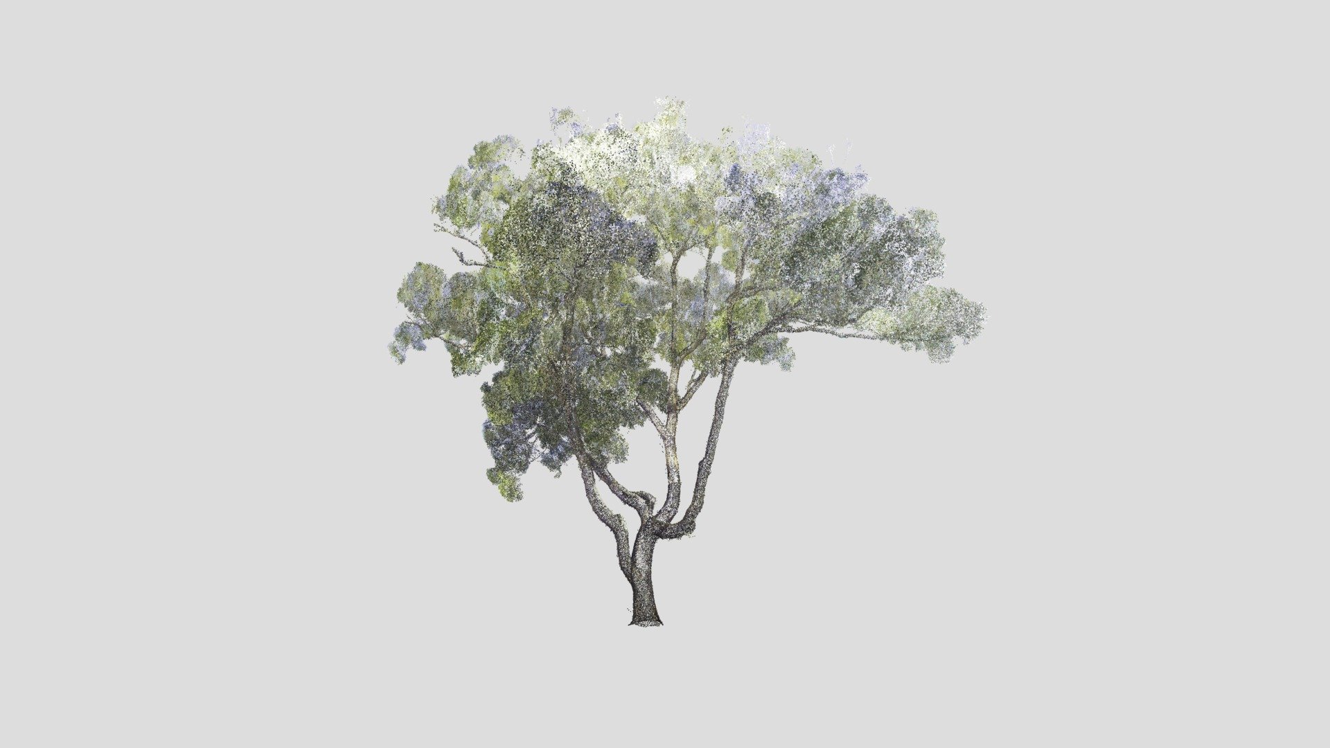 Tree Point Cloud - Buy Royalty Free 3D model by magnum_opus (@tree ...