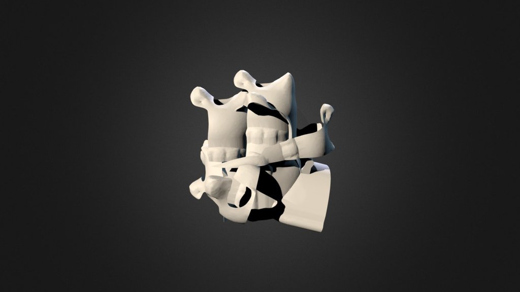 Cat Solid - 3D model by mancer [d076929] - Sketchfab