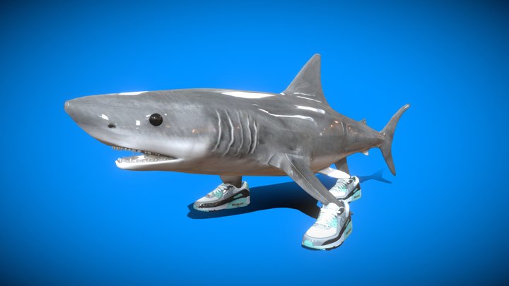 Shark 3D models - Sketchfab
