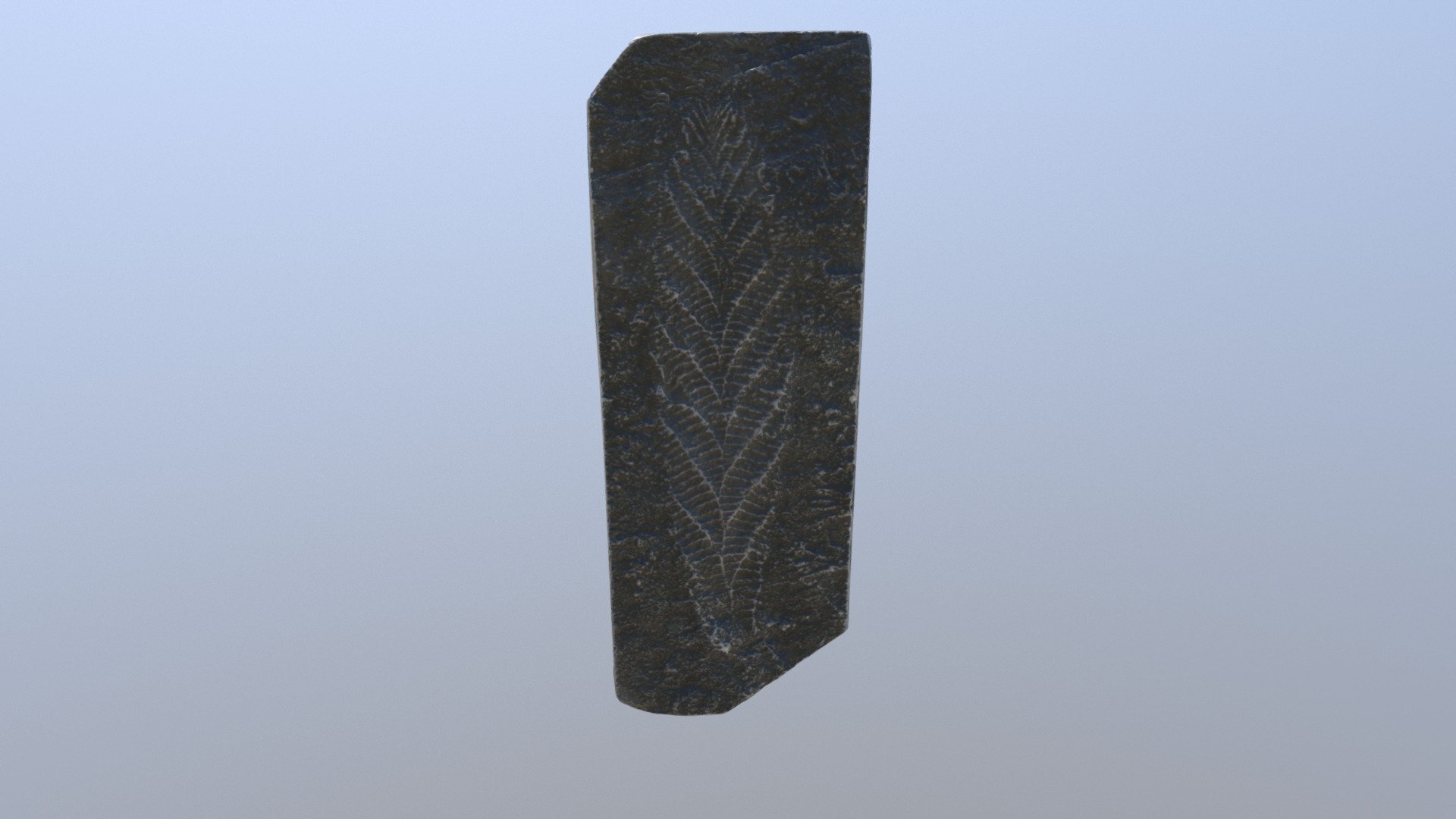 [1355] VEN 1 0 Charnia Ediacaran 500K - 3D model by 3d Fossils GB ...