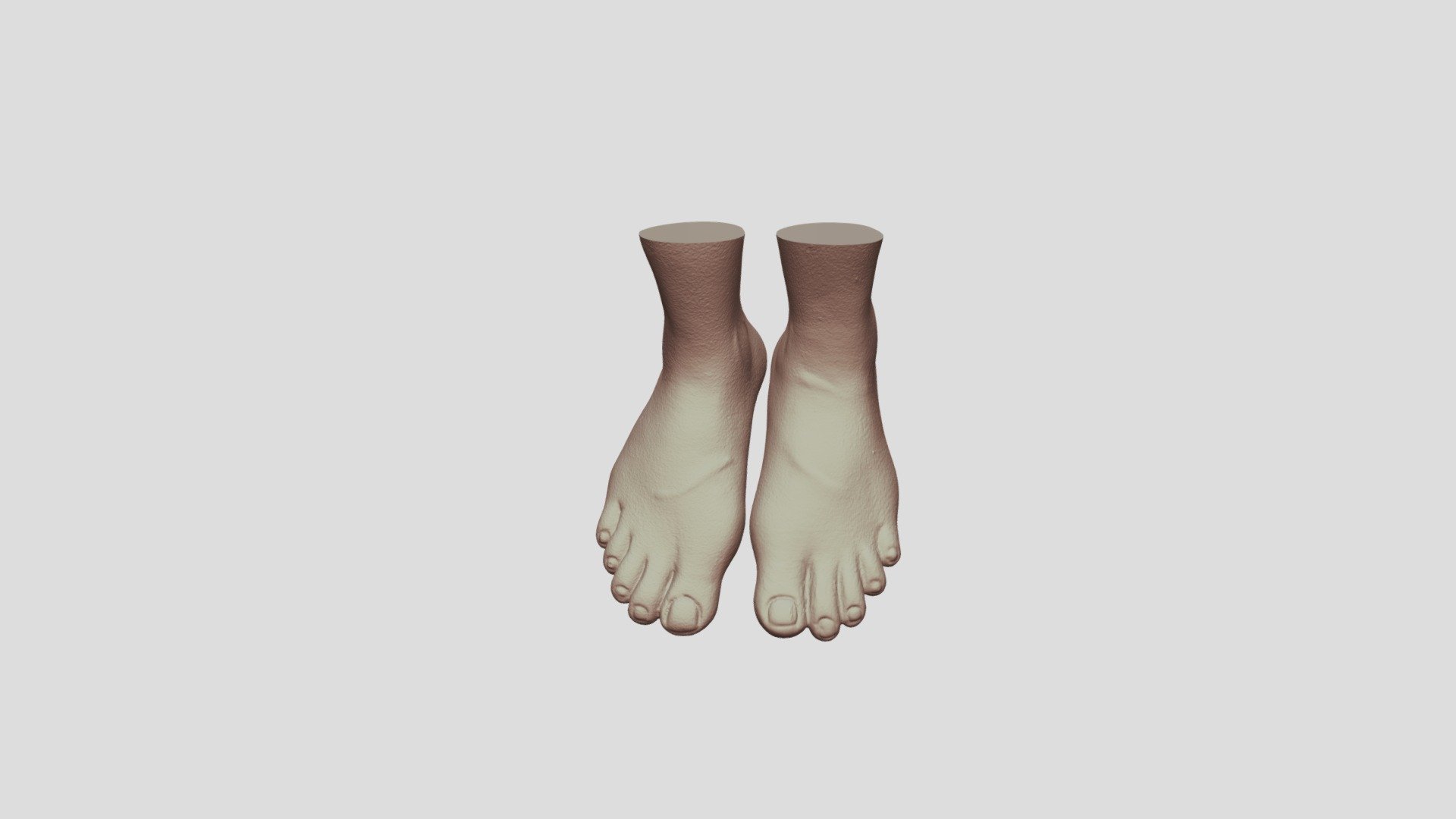 Feet - 3D model by Capture It In 3D (@CaptureMeIn3D) [d0943dc] - Sketchfab