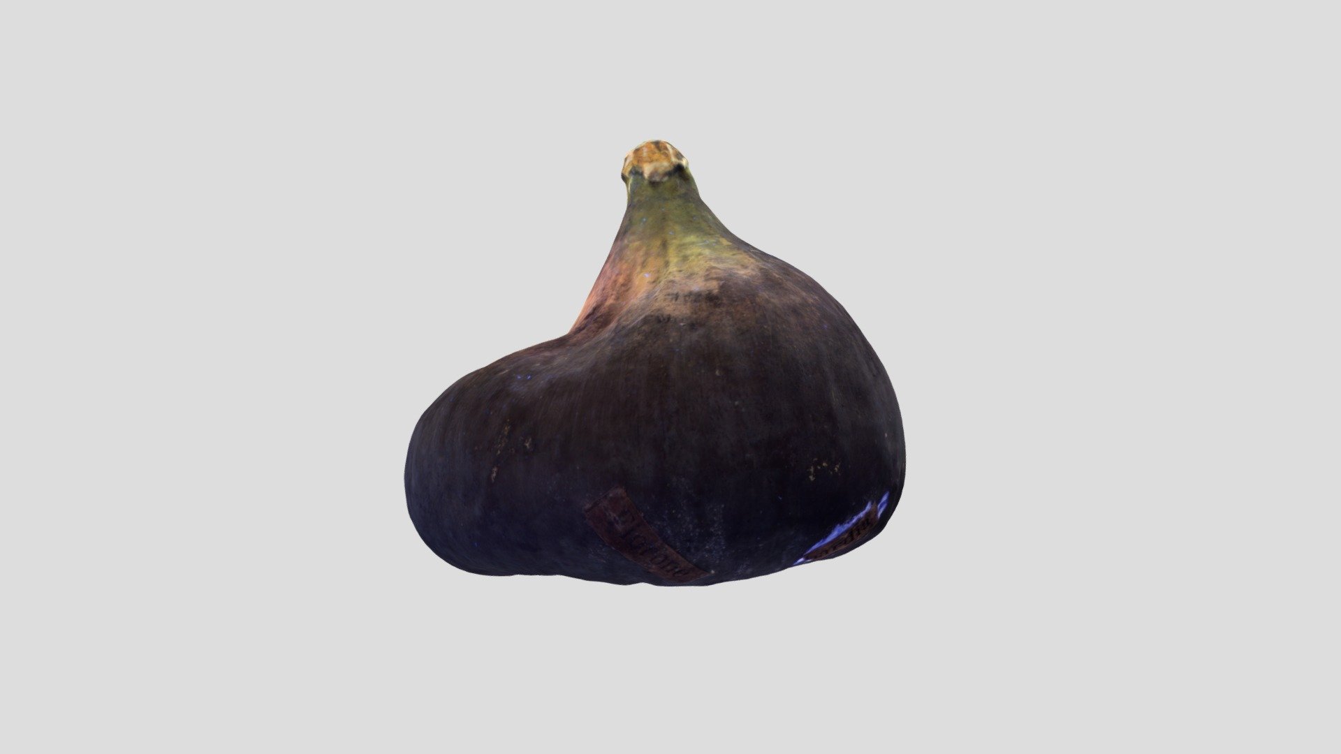 Fiorone (luce ultravioletta) - 3D model by Emanuele_Bertolaja [d0a05fe ...