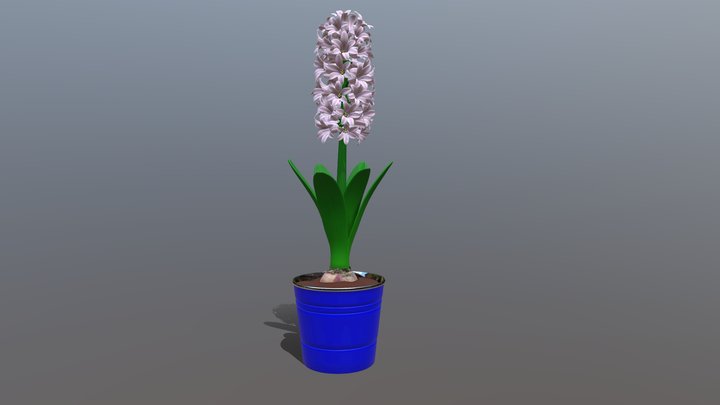 Hyacinth 3D models - Sketchfab