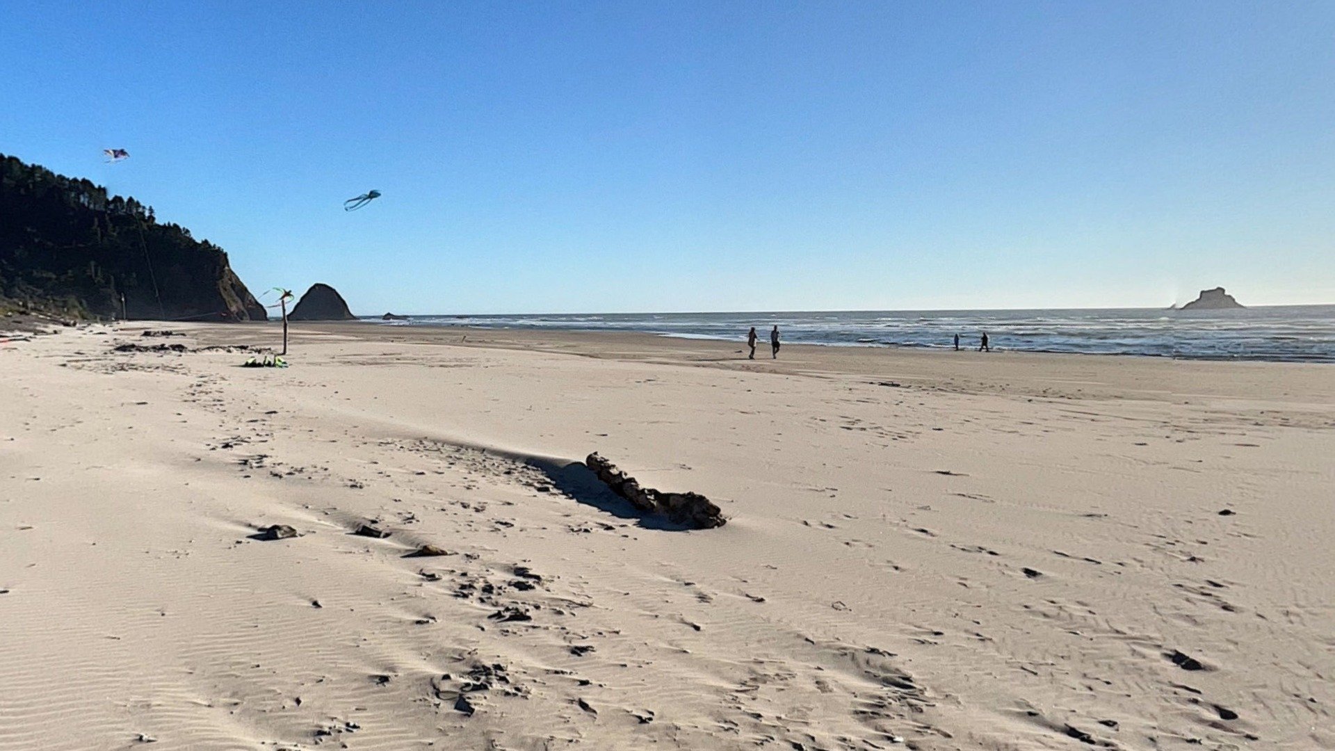 Oregon Beach - 3D model by Phil.Devine [d0ab458] - Sketchfab