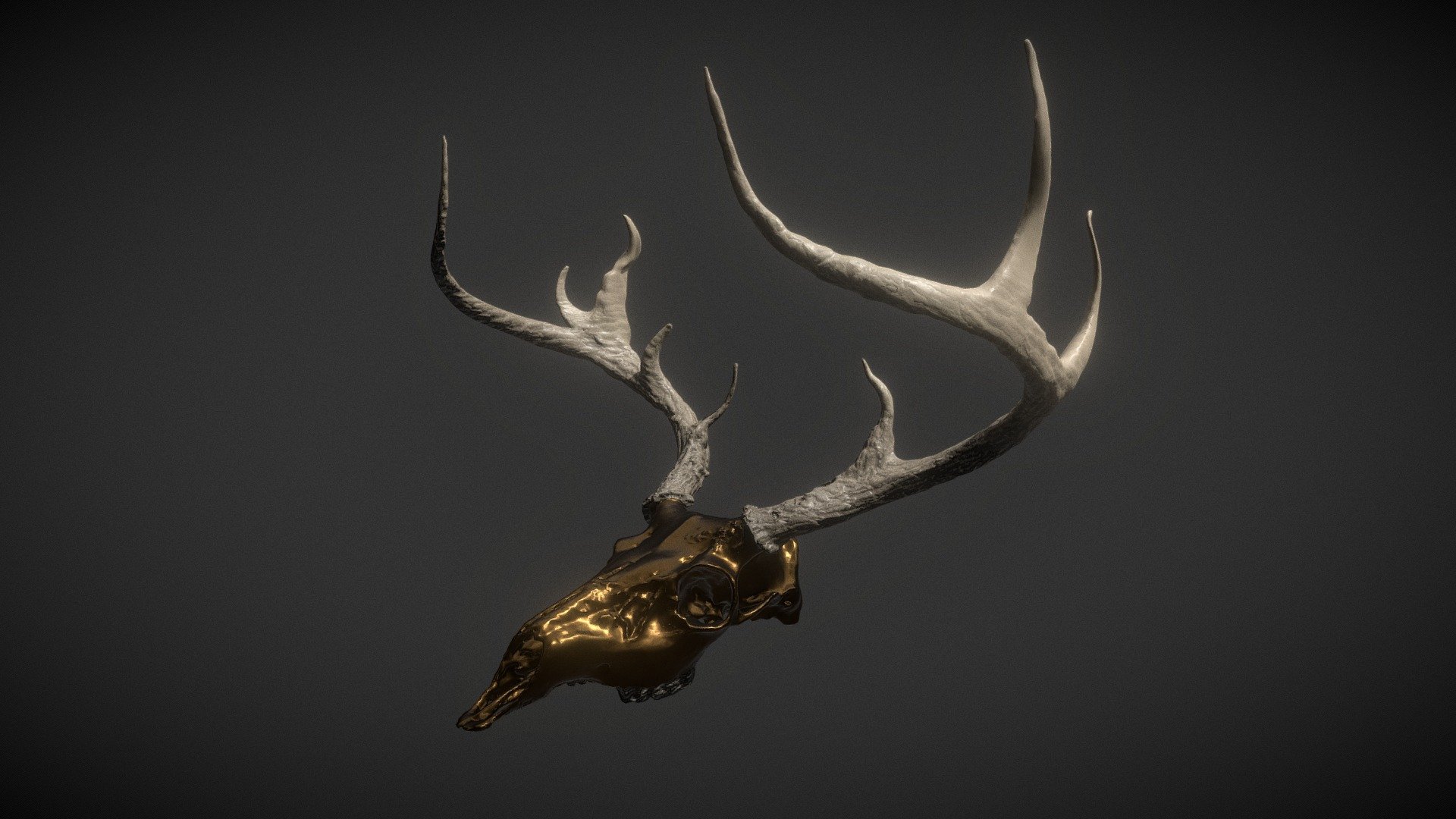 Bronzed Deer skull - 3D model by ShadeSquamous (@SquamousIndustries ...