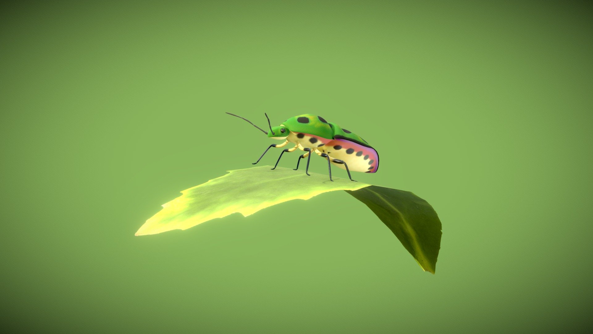 Bug - Download Free 3D model by Kyyy_24 (@luckyardrianto27) [d0ade41 ...
