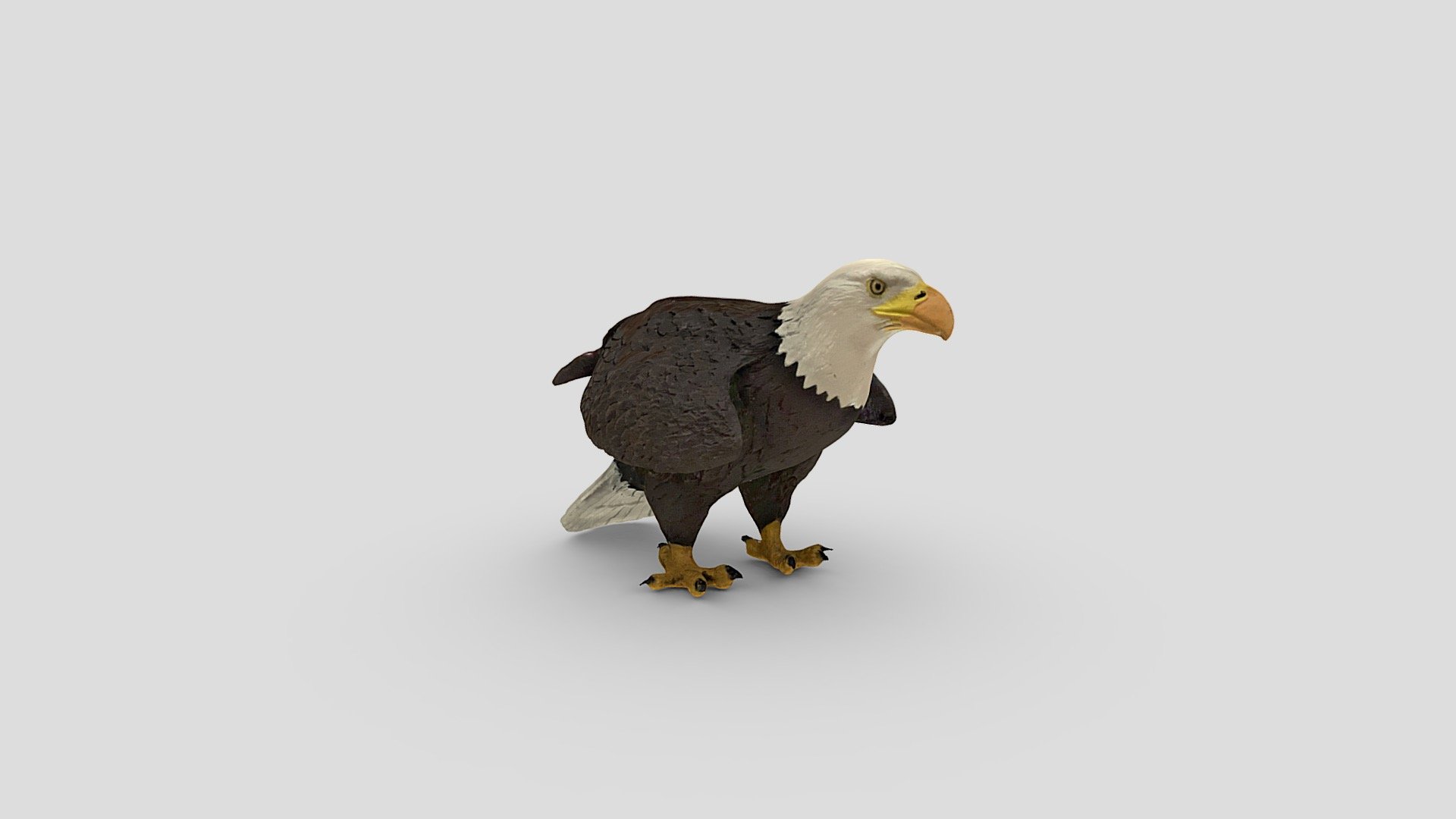 Bald Eagle - Download Free 3D model by Ronen (@ronenh) [d0b21af ...