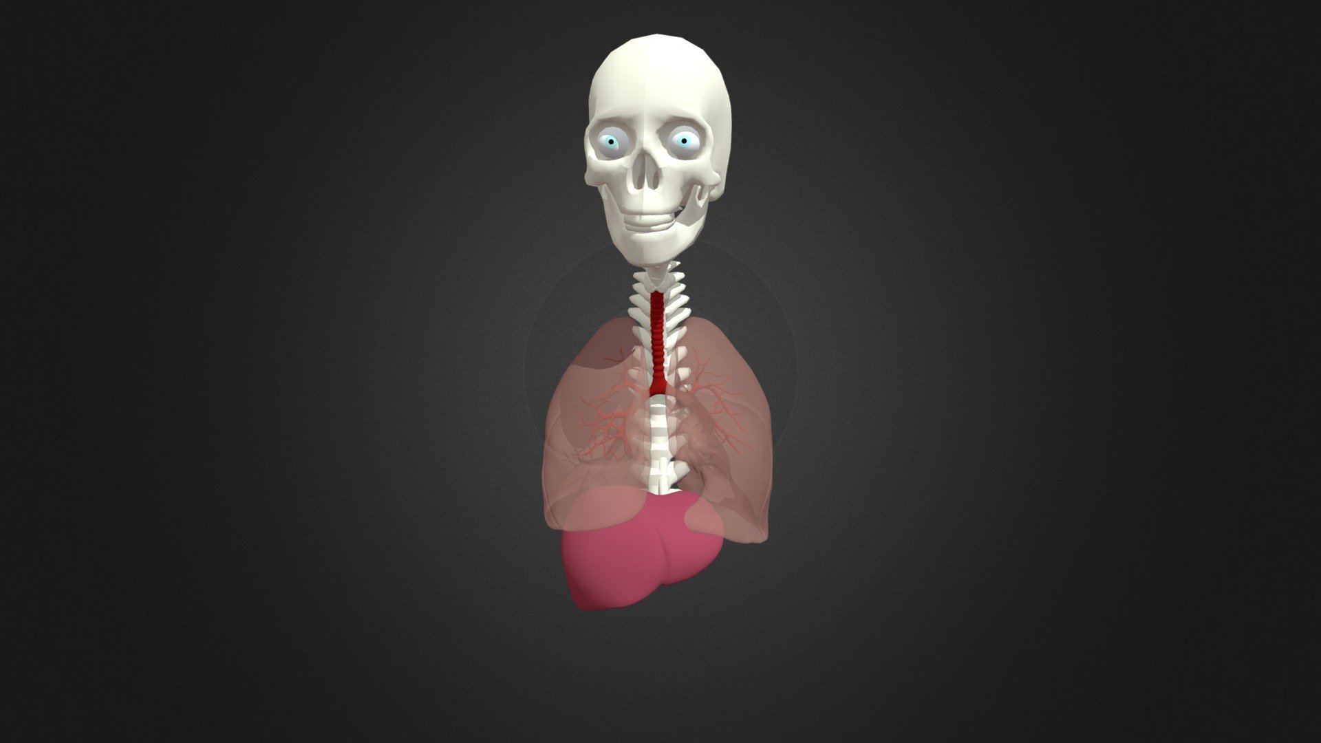 Torso - 3D model by br4d86 [d0b5f7f] - Sketchfab