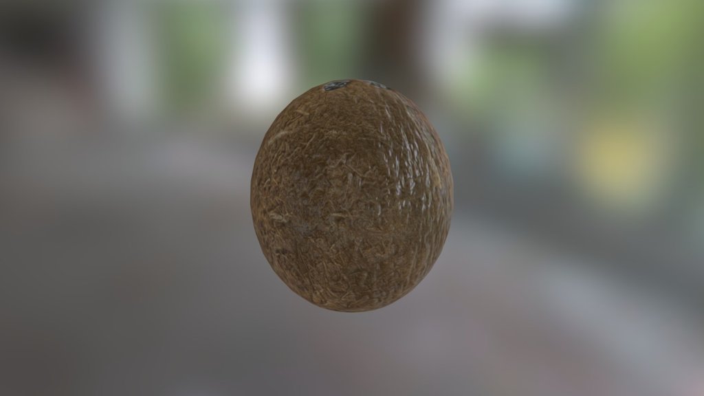 Coconut - 3D model by megamaniac [d0b6ce6] - Sketchfab