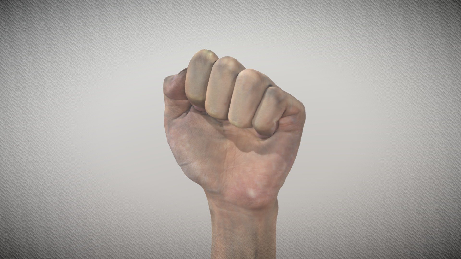 Hand 3Dscan - 3D model by cgslab [d0b7b11] - Sketchfab