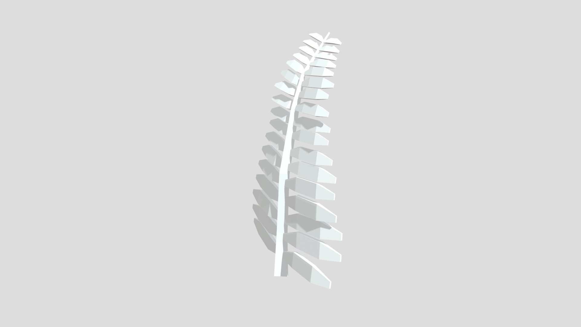 Fern - Download Free 3D model by kolevg583 [d0ba12f] - Sketchfab