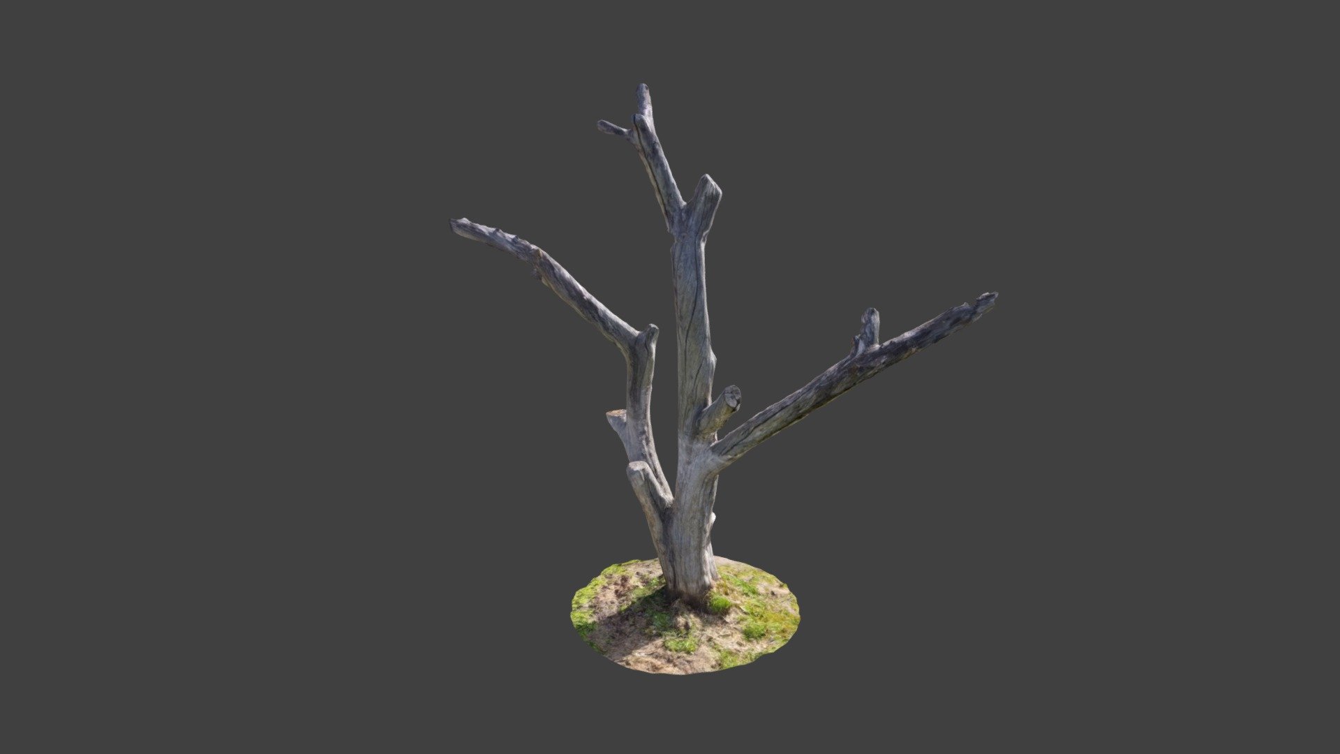 Dry tree - Download Free 3D model by Penta Project (@Pentaproject ...
