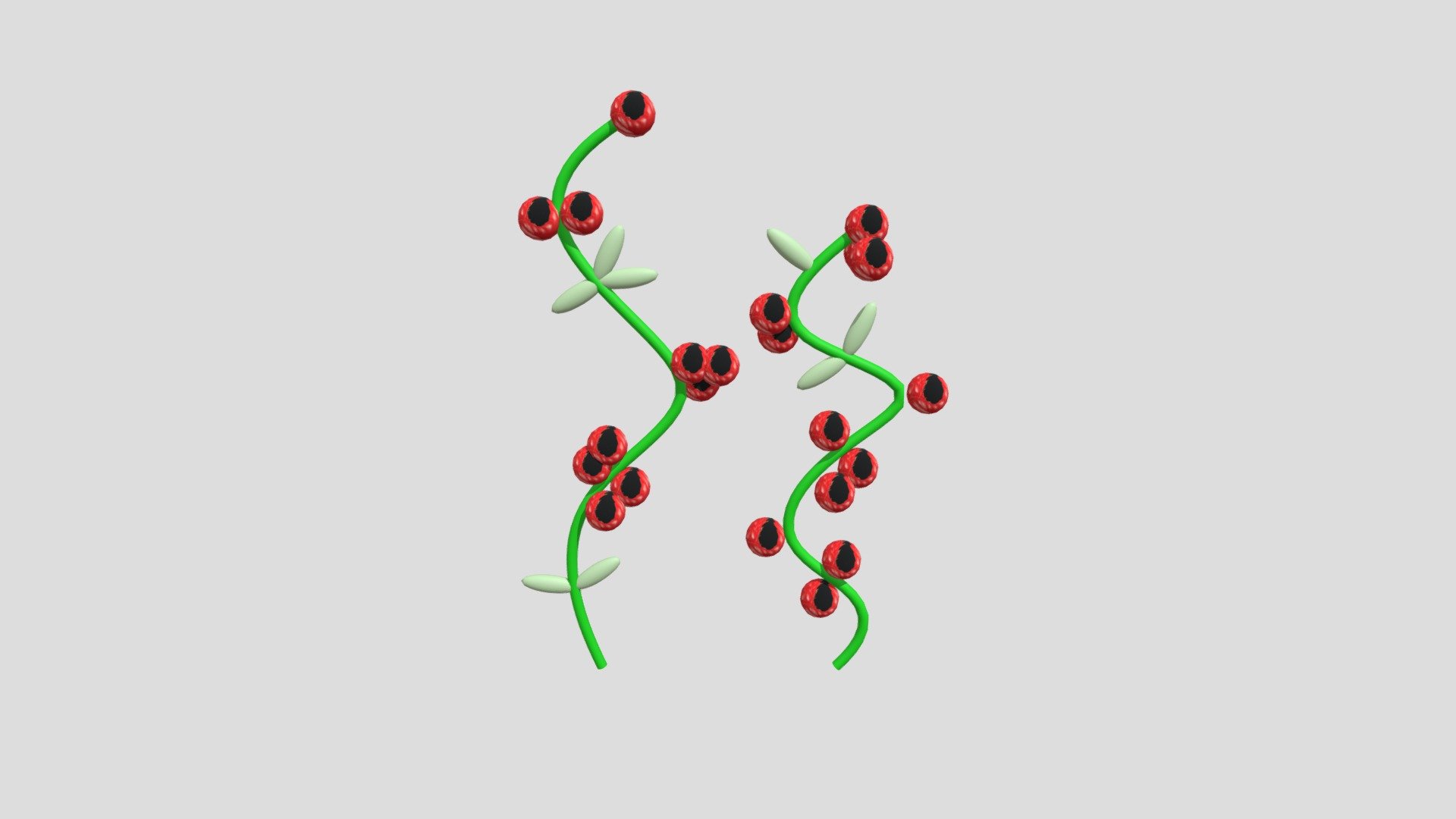 Sprout Buddy_Raspberry - Download Free 3D model by Abhinav_goel ...