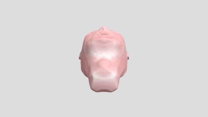 Tgp 3D models - Sketchfab