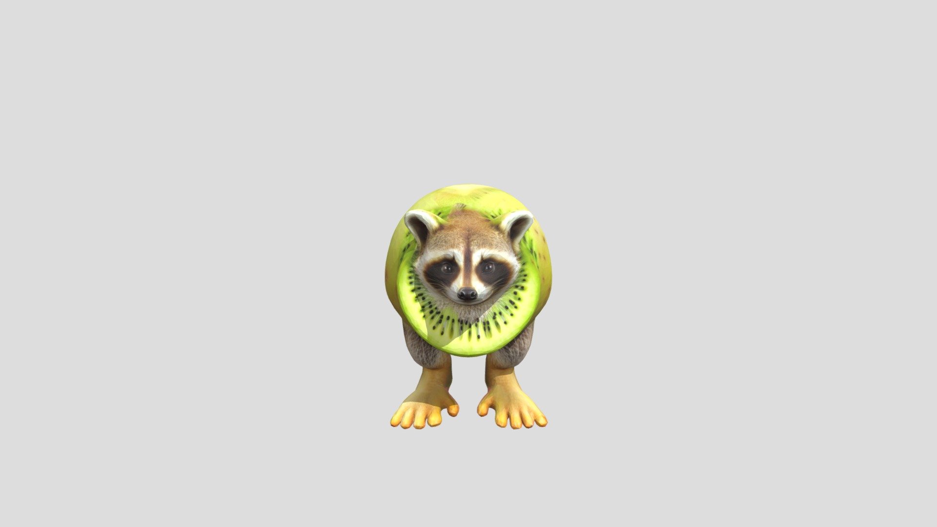 PIBI KIWI PIBI KIWI (RACCOON KIWI) - Download Free 3D model by XONNIC ...