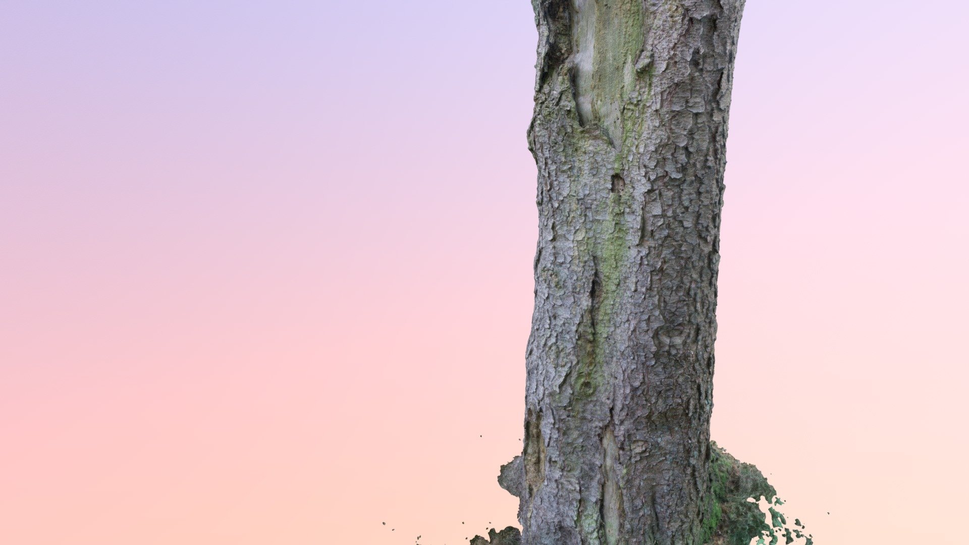 Old Tree - 3D model by FeKgr (@docfx) [d0d8388] - Sketchfab