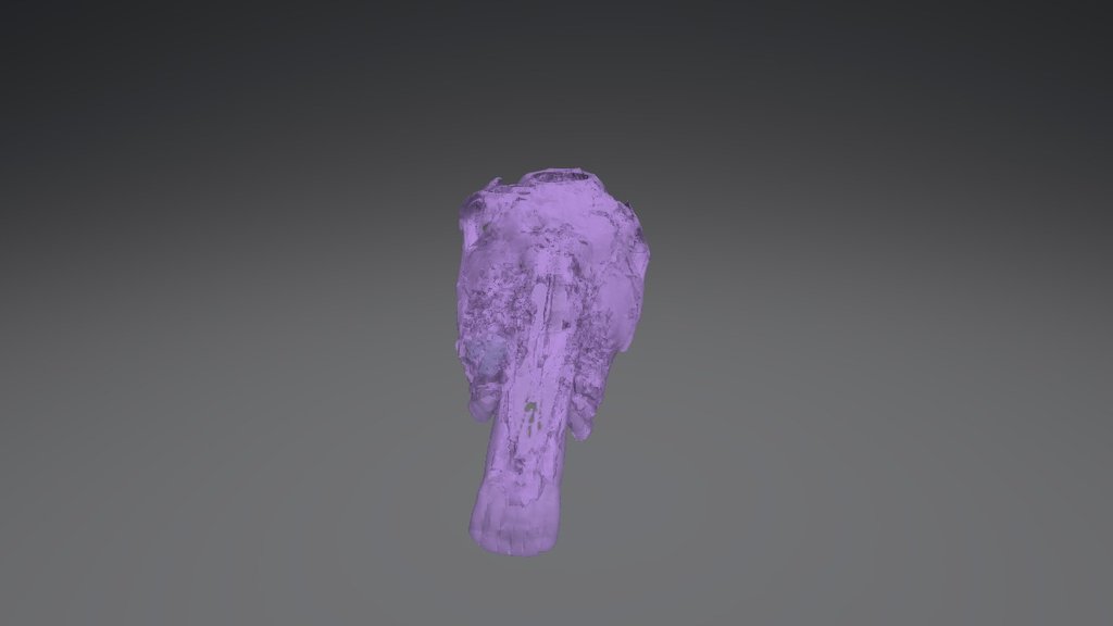 Tilly with Implant - 3D model by Nathan @ 3DM (@nathan.wang) [d0f2dce ...