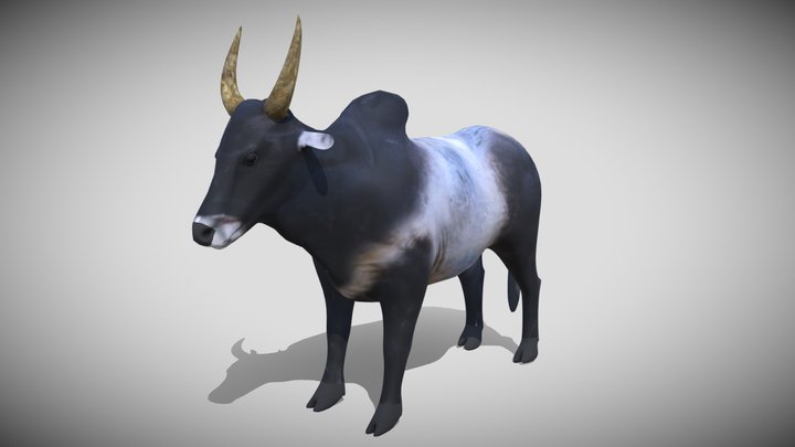 Horns 3D models - Sketchfab