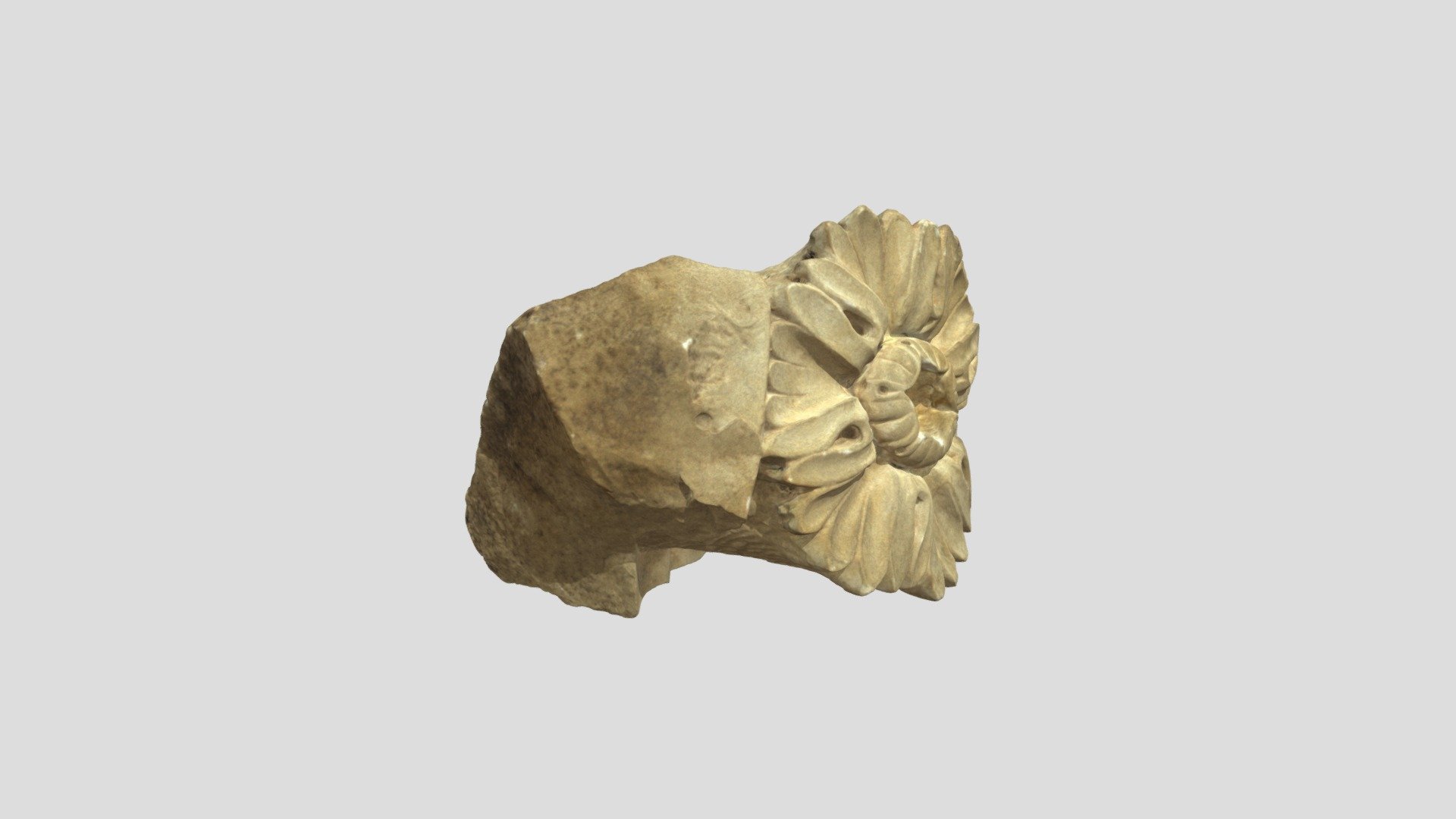 University of Virginia Rotunda Capital Fragment - 3D model by ...