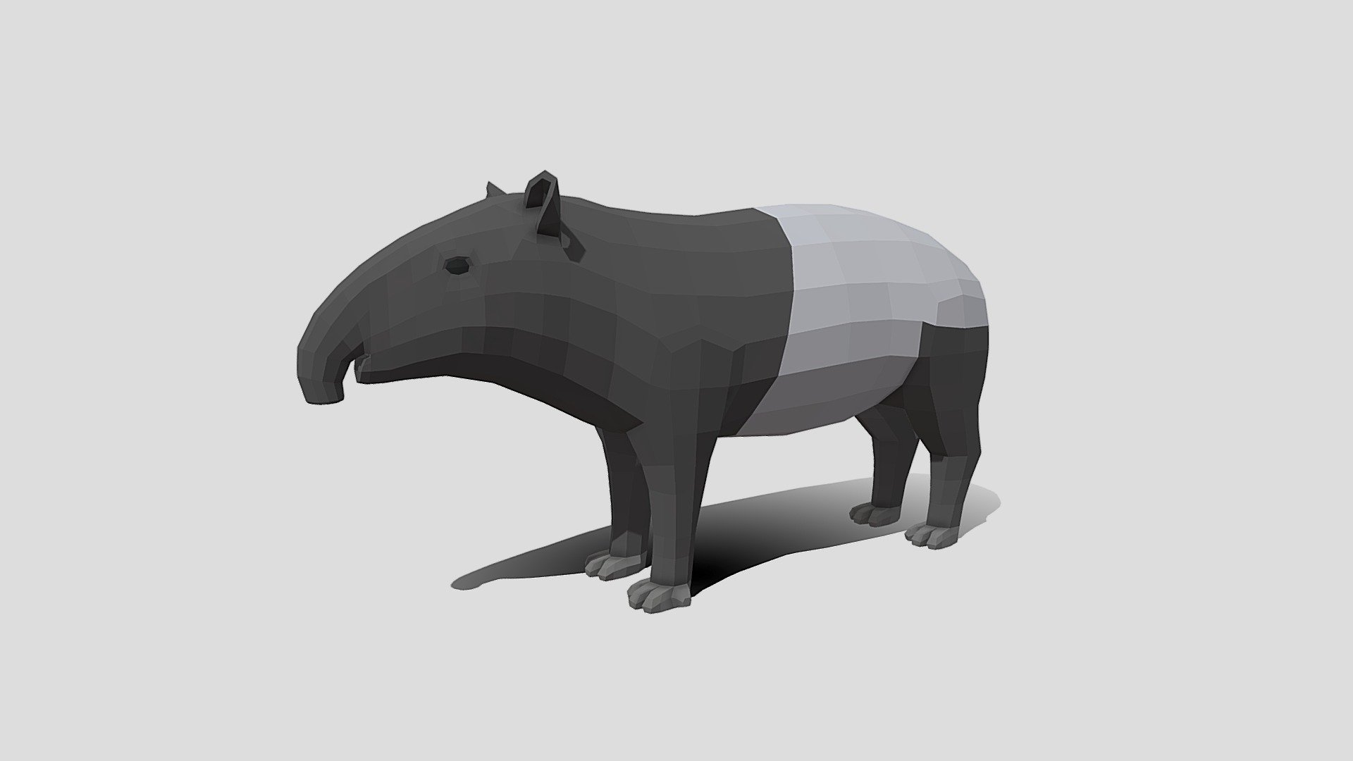 Low Poly Cartoon Tapir - Buy Royalty Free 3D model by chroma3d (@vendol21) [d106d0b] - Sketchfab ...