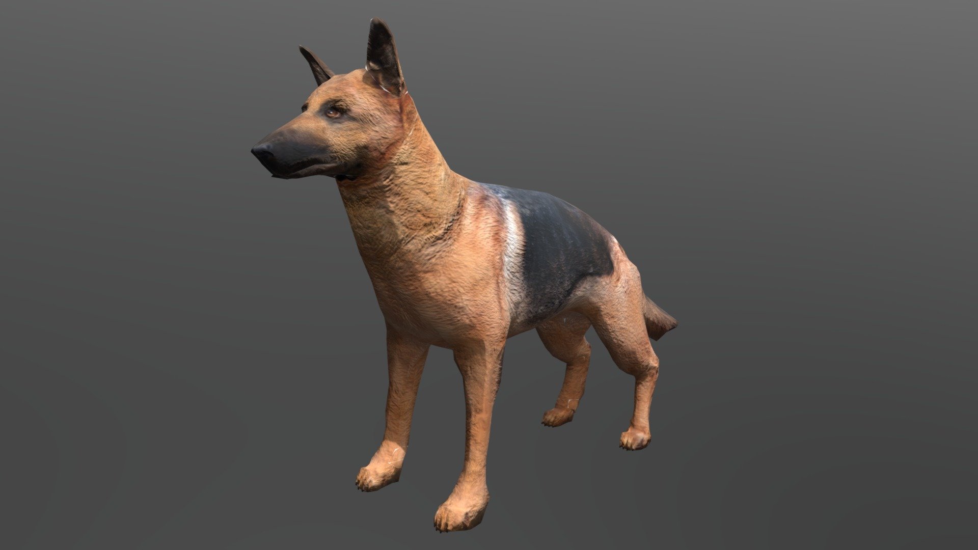 German Shepherd - Buy Royalty Free 3D model by 3dlowpoly [d112214 ...