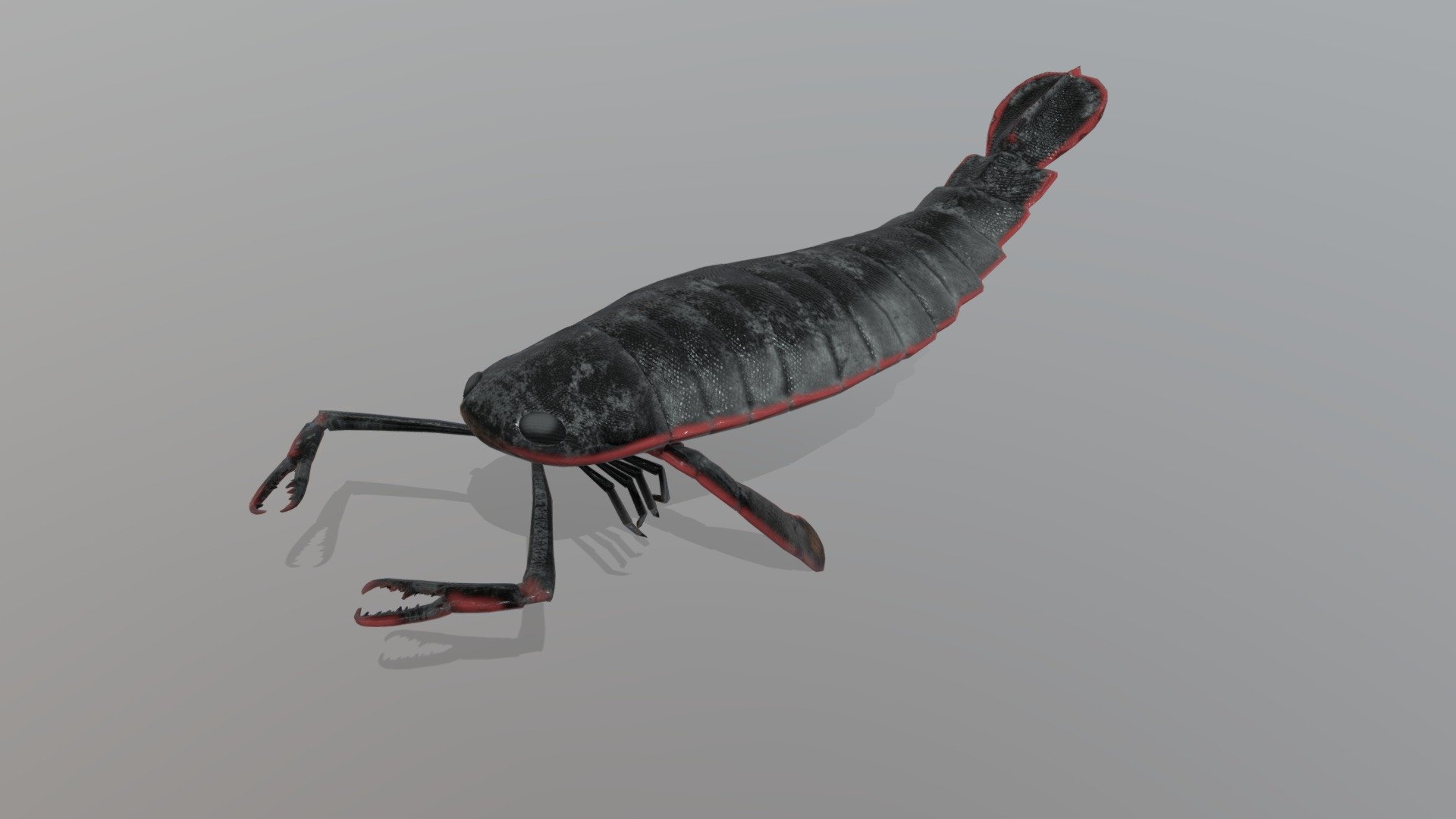 Pterygotus - Buy Royalty Free 3D model by Paleobiome [d119429 ...