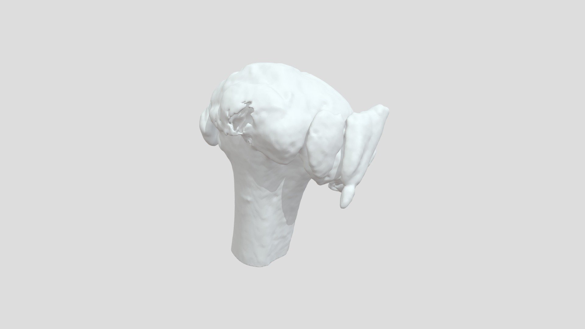Humerus_M_01_03 - 3D model by Rod Py (@rodrigopy) [d11a312] - Sketchfab