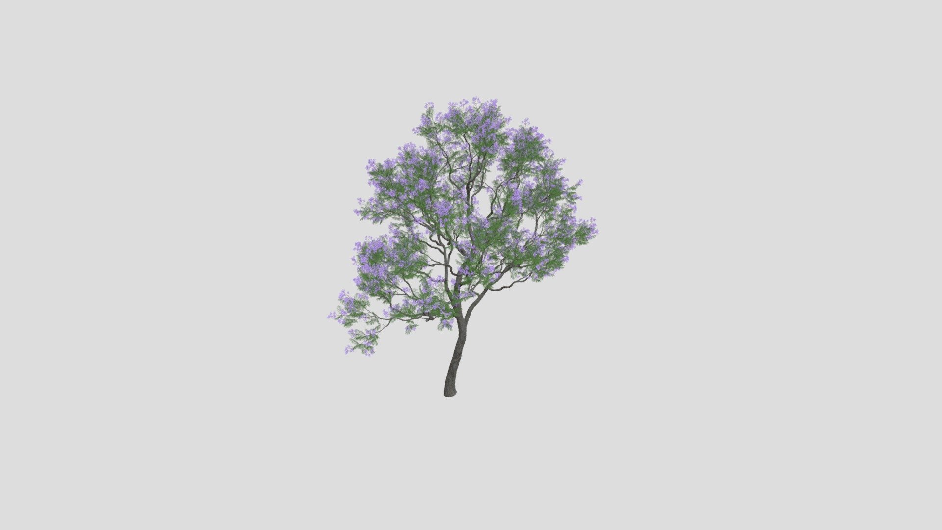 Jacaranda tree 15 AM210 Archmodel - Buy Royalty Free 3D model by ...