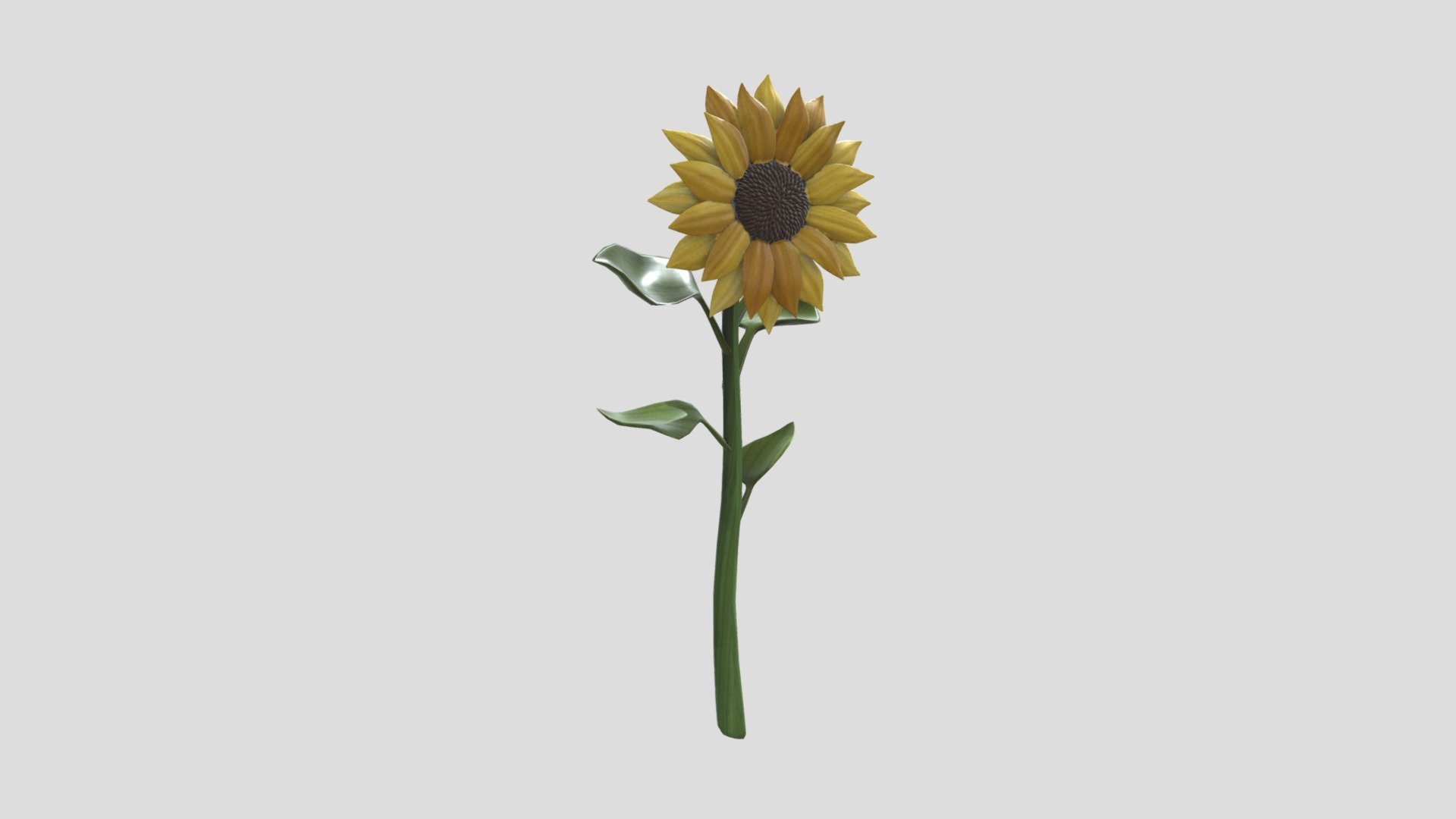 Sunflower - 3D model by maliabz [d11fbe9] - Sketchfab