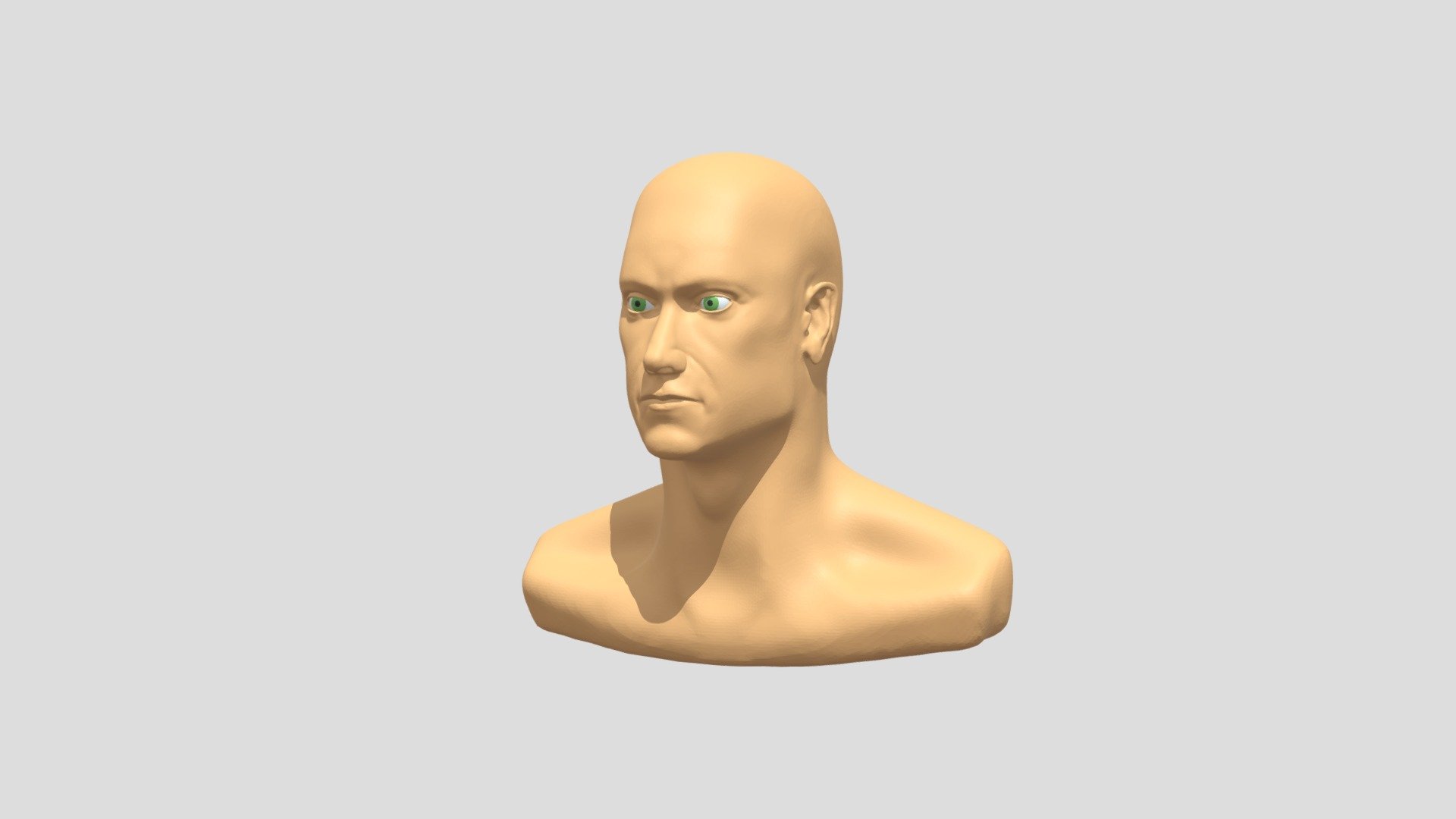 human_head11_1 - 3D model by torchant [d1218eb] - Sketchfab