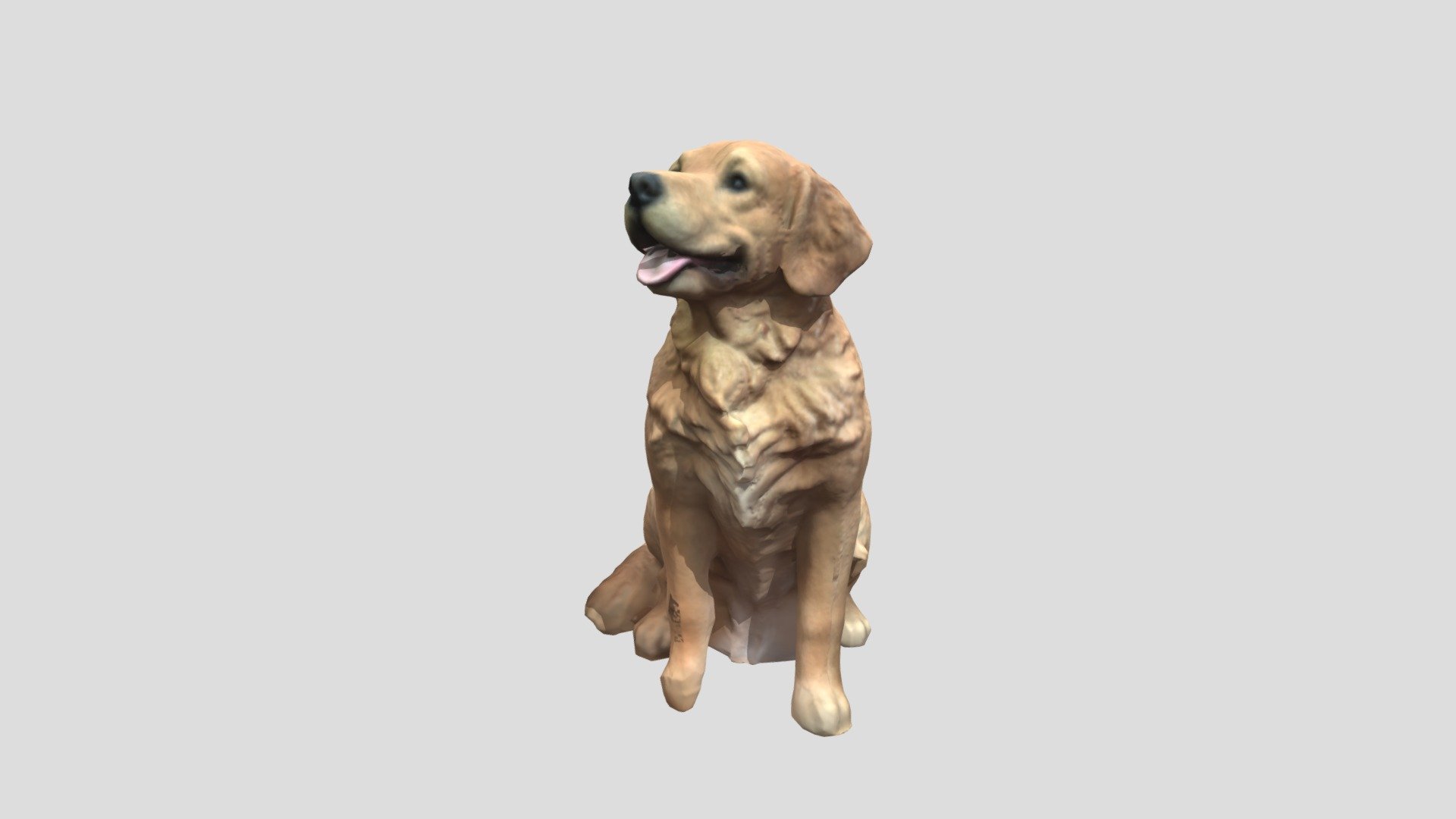 golden-retriever-sitting 2 - 3D model by Andreas.Richter1 [d125f51 ...