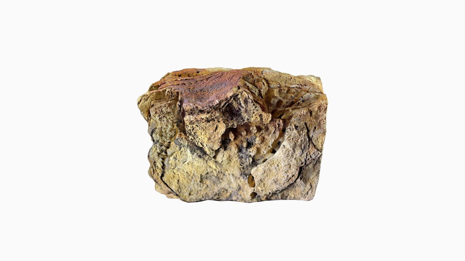Fossil Rock - Download Free 3D model by Haireena [d13284d] - Sketchfab