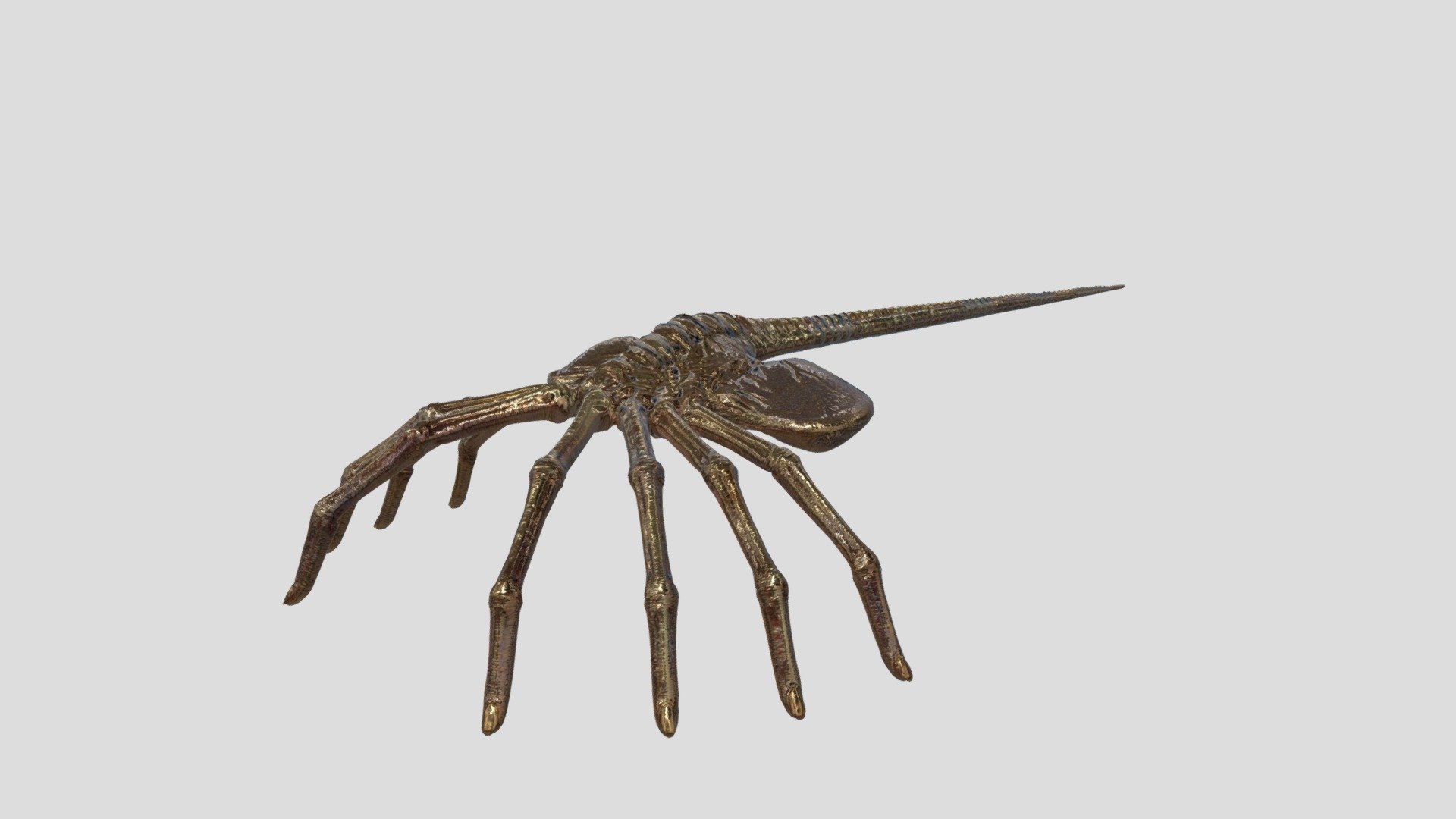 Facehugger - Download Free 3D model by adony03 [d134929] - Sketchfab