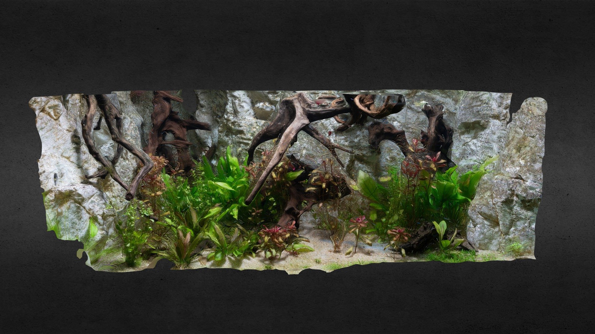 Aquascape 1 - 3D model by Benoît Rogez (@shadows44) [d1352e0] - Sketchfab
