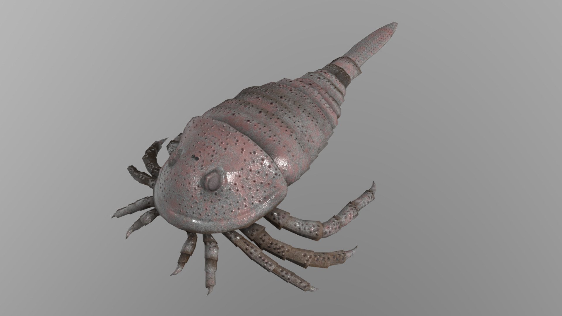 Drepanopterus - 3D model by Paleobiome [d14423b] - Sketchfab