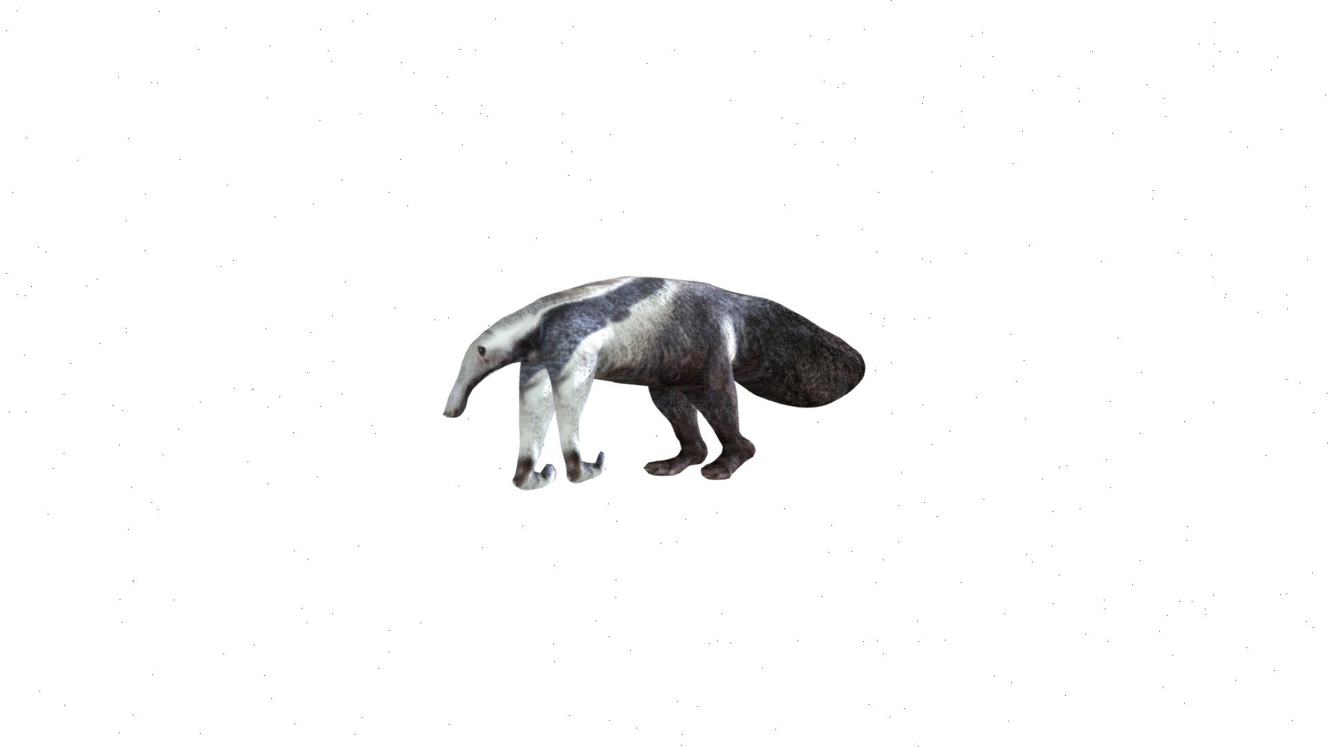 Giant Anteater - Download Free 3D model by gustavo.adam [d14fd22 ...