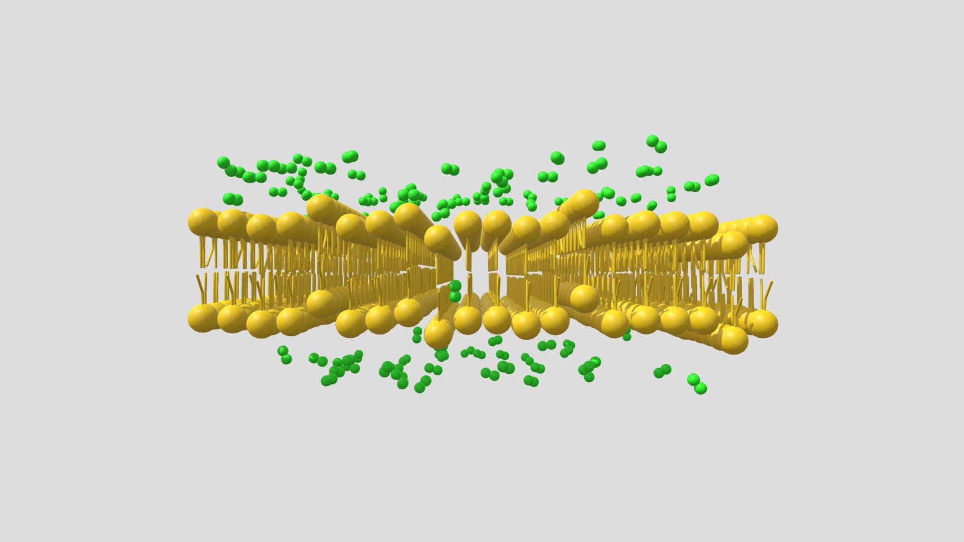 Passive Transport - Simple Diffusion - 3D model by Júlio Panzera ...