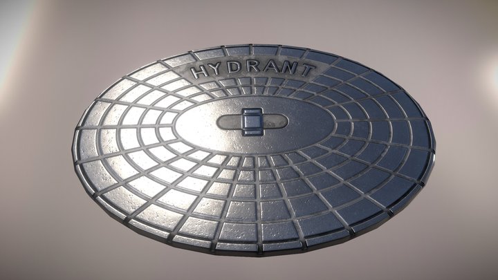 Gulli 3D models - Sketchfab