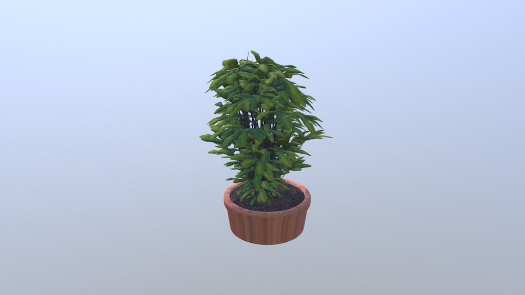 Macetero - 3D model by josetomedi [d158710] - Sketchfab