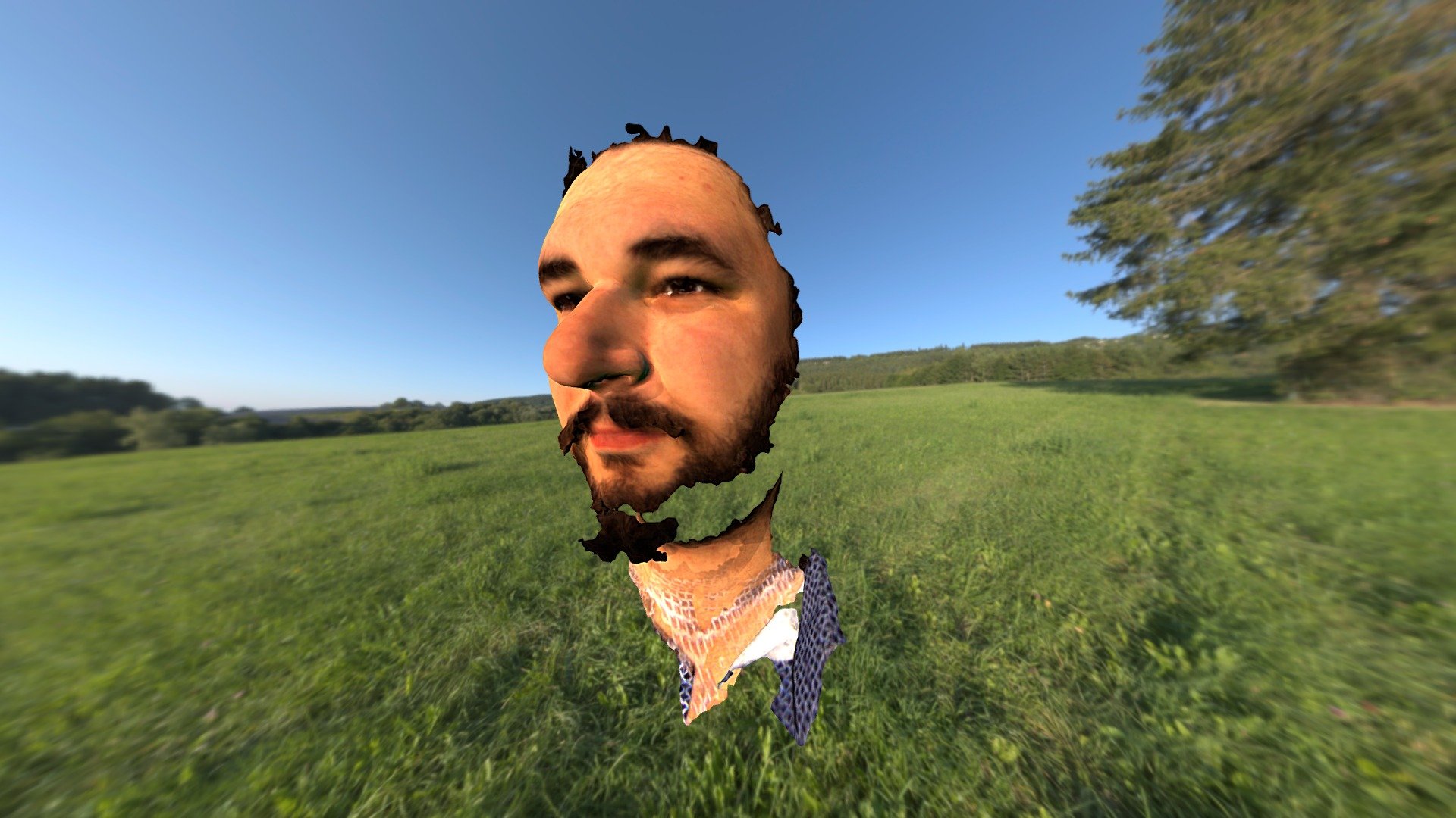 riley face - 3D model by Aanti.Complacency [d15d49c] - Sketchfab
