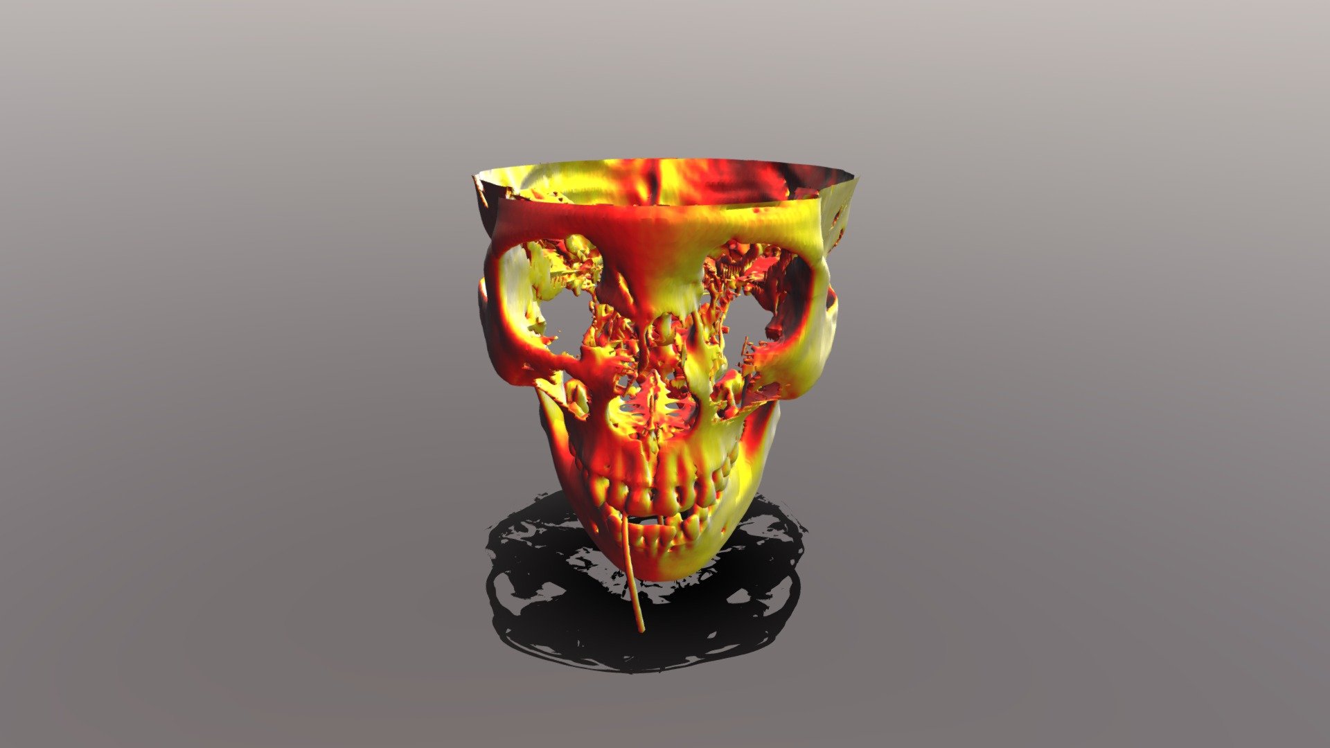 heads - 3D model by leahdsouza0210 [d15ed98] - Sketchfab