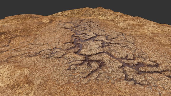 Peatland 3D models - Sketchfab
