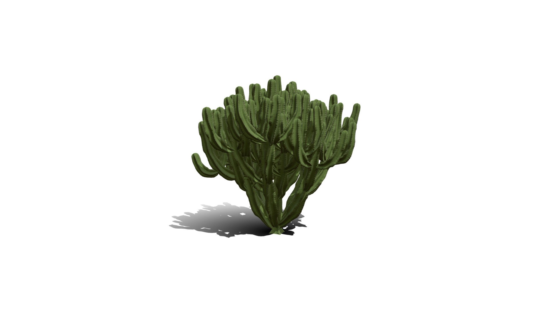 Realistic HD Candelabra tree (33/40) - Download Free 3D model by ...