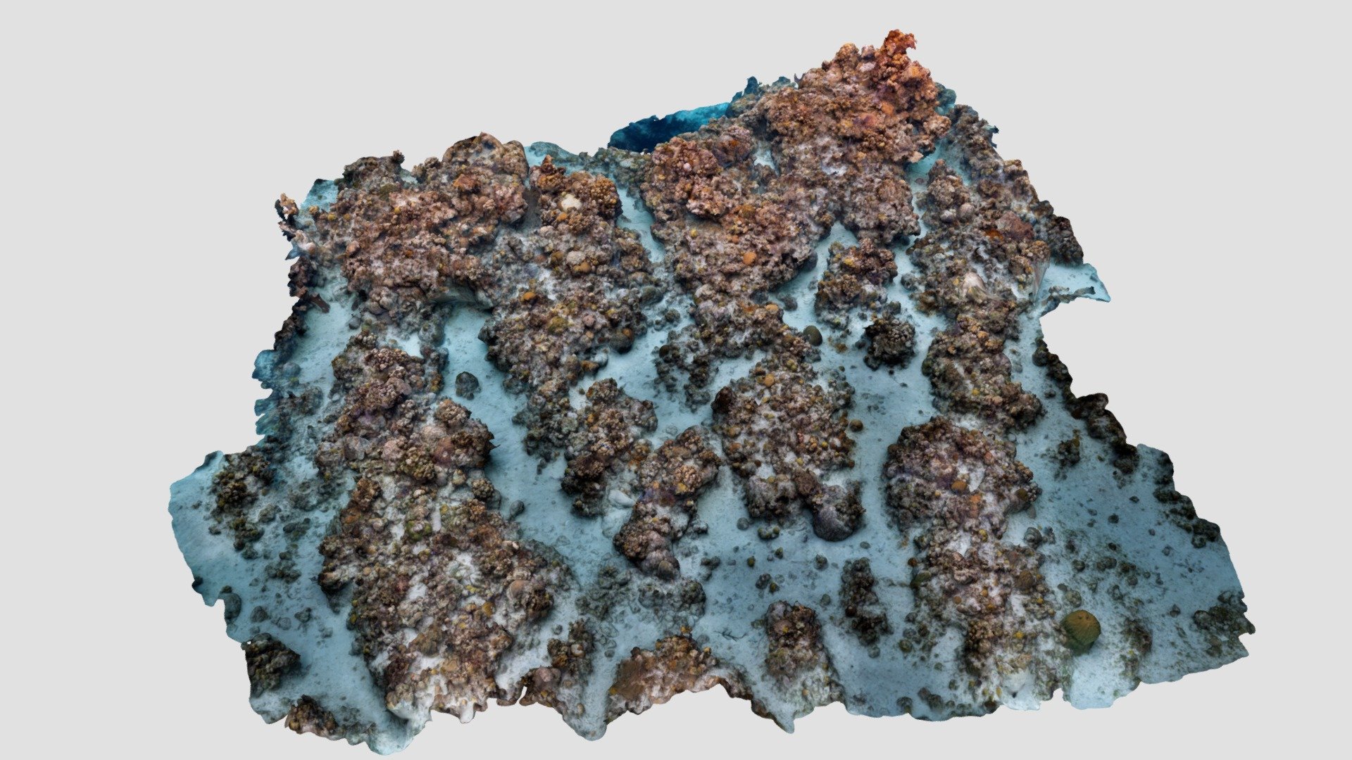 John Millar's Blue Hole - 3D model by Perry Institute for Marine ...