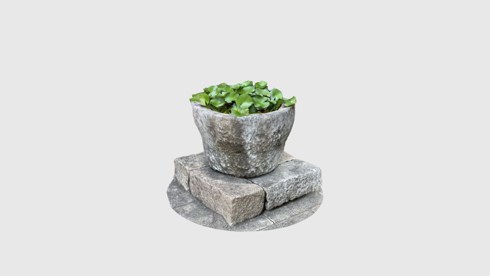 Stone Trough Planter 石头荷花缸 - 3D model by Daichen Wang (@Yearwalk ...